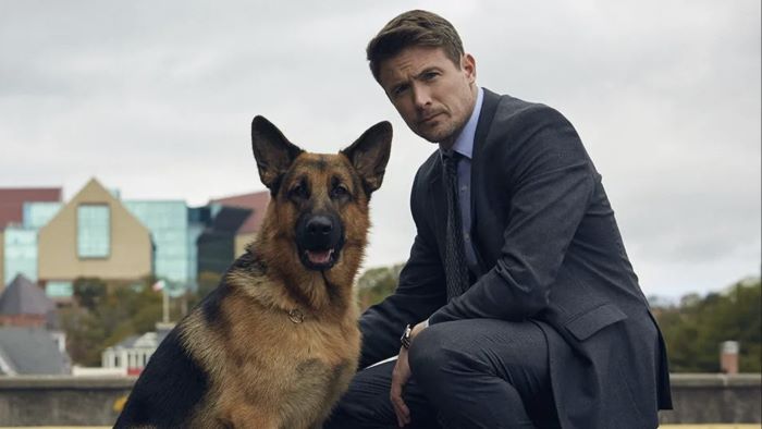 How to Watch Hudson and Rex Season 8 in the US